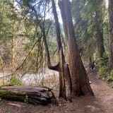 Toketee Falls, Oregon - 2,085 Reviews, Map | AllTrails