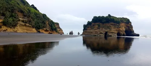 Best Beach Trails in Mokau | AllTrails