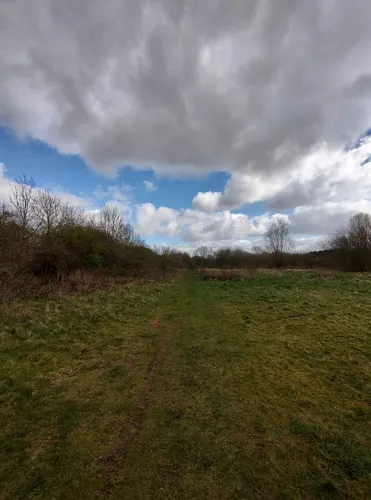 Best Hikes and Trails in Wigg Island Community Park | AllTrails