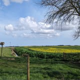 Tetney Lock and Louth Canal Circular, Lincolnshire, England - 22 ...