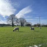Barbon Beck Circular, Cumbria, England - 152 Reviews, Map | AllTrails