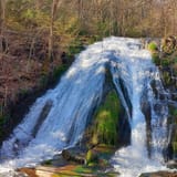 Roaring Run Trail, Virginia - 809 Reviews, Map | AllTrails