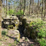Hickory Ridge Outer Trail, Tennessee - 385 Reviews, Map | AllTrails