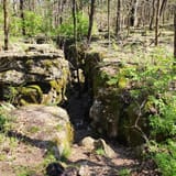 Hickory Ridge Outer Trail, Tennessee - 385 Reviews, Map | AllTrails