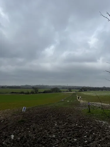 Best Hikes and Trails in Ashtead Common National Nature Reserve | AllTrails