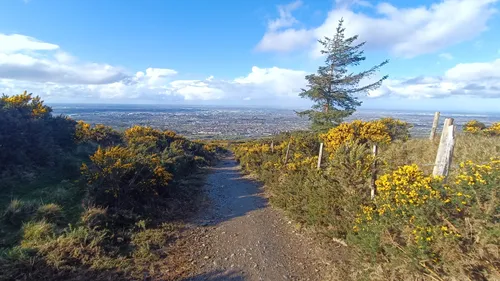 10 Best Trails and Hikes in County Dublin | AllTrails