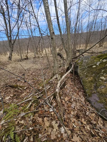Best Hikes and Trails in Lost Lake State Natural Area | AllTrails