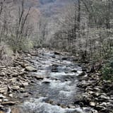 South Toe River Loop Trail, North Carolina - 431 Reviews, Map | AllTrails