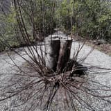 South Toe River Loop Trail, North Carolina - 431 Reviews, Map | AllTrails