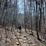 South Toe River Loop Trail, North Carolina - 431 Reviews, Map | AllTrails
