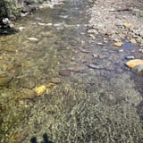 South Toe River Loop Trail, North Carolina - 431 Reviews, Map | AllTrails