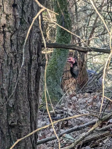 Best Hikes and Trails in Lubberland Creek | AllTrails