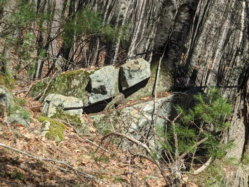 Best Hikes and Trails in Lubberland Creek | AllTrails