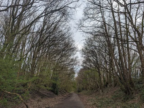 Best Easy Trails in Reddish Vale Country Park | AllTrails