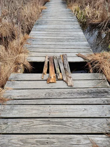 Best Hikes and Trails in Hathorne | AllTrails