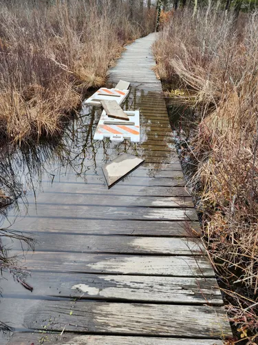 Best Hikes and Trails in Hathorne | AllTrails