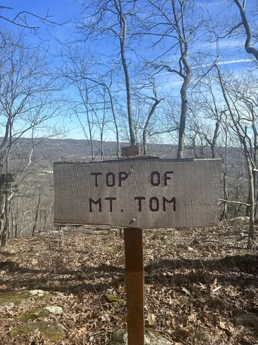 Best Hikes and Trails in Mount Tom Preserve | AllTrails