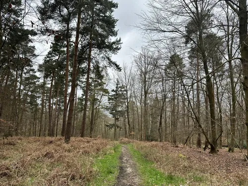 Best Hikes and Trails in Maidenhead Thicket | AllTrails