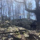 Devils Knob Loop, Arkansas - 237 Reviews, Map | AllTrails