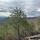 Chained Rock Trail, Kentucky - 529 Reviews, Map | AllTrails