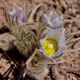 Red Rocks Trail, Colorado - 1,127 Reviews, Map | AllTrails