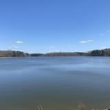 Herb Parsons Lake Green Trail, Tennessee - 830 Reviews, Map | AllTrails