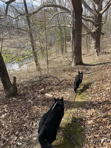 Best Hikes and Trails in Wapping Park | AllTrails