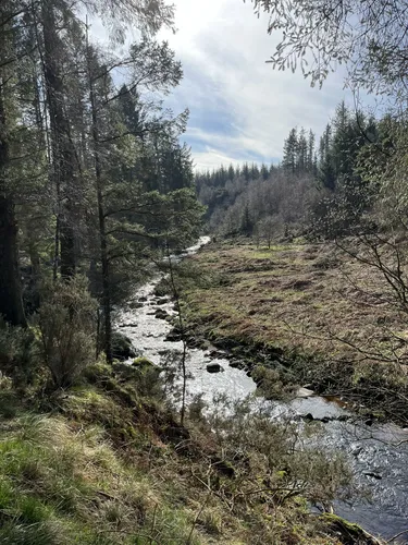 Best Hikes and Trails in Maryculter Woods | AllTrails