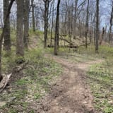 Tyler State Park Trail, Pennsylvania - 1,661 Reviews, Map | AllTrails