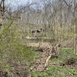 Tyler State Park Trail, Pennsylvania - 1,661 Reviews, Map | AllTrails