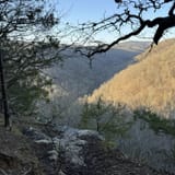 Whitaker Point Trail (Hawksbill Crag), Arkansas - 3,738 Reviews, Map ...