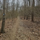 Ramapo Reservation Loop Trail, New Jersey - 1,673 Reviews, Map | AllTrails