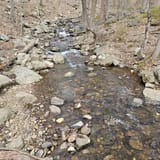 Ramapo Reservation Loop Trail, New Jersey - 1,673 Reviews, Map | AllTrails