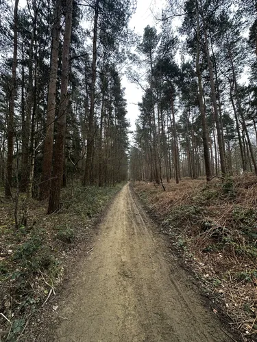 10 Best Waterfall Trails in Surrey Hills National Landscape (AONB ...