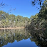Harris Lake Peninsula Trail, North Carolina - 1,927 Reviews, Map ...