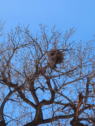 Best Hikes and Trails in Corrales Bosque Preserve | AllTrails