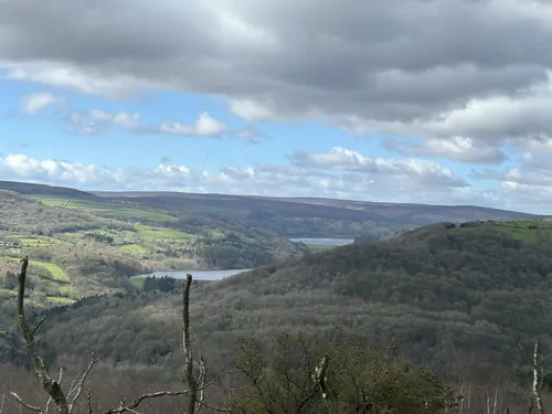 Best Walking Trails in Wharncliffe Woods | AllTrails