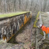 Deep Lock Quarry Trail, Ohio - 1,331 Reviews, Map | AllTrails