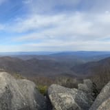 Flat Top Mountain via Flat Top Trail, Virginia - 465 Reviews, Map ...