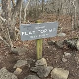 Flat Top Mountain via Flat Top Trail, Virginia - 465 Reviews, Map ...
