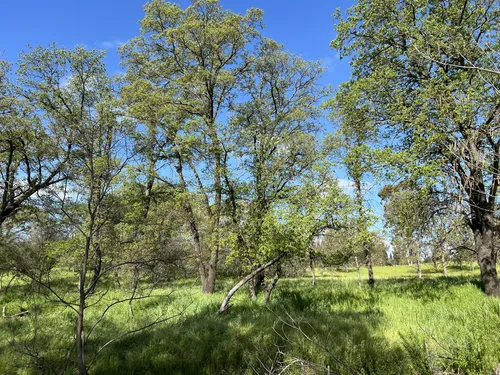 Best Hikes and Trails in Johnson Springview Park | AllTrails