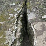 Cheek Bend Bluff View Trail, Tennessee - 852 Reviews, Map | AllTrails