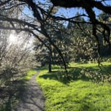 Washington Park Loop, Oregon - 1,638 Reviews, Map | AllTrails