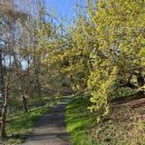 Washington Park Loop, Oregon - 1,638 Reviews, Map | AllTrails