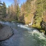 Wilson River Trail, Oregon - 654 Reviews, Map | AllTrails