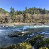 Wilson River Trail, Oregon - 654 Reviews, Map | AllTrails
