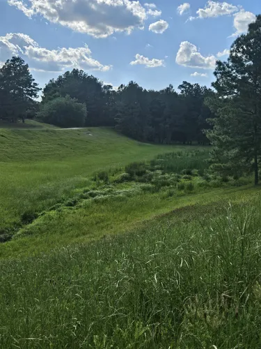 Best Hikes and Trails in Collins Park | AllTrails