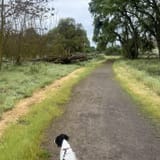 Stanislaus River Trail in Ripon, California - 422 Reviews, Map | AllTrails