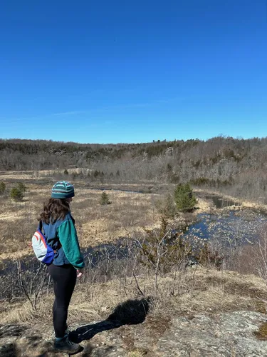 Best Hikes and Trails in Marble Rock Conservation Area | AllTrails