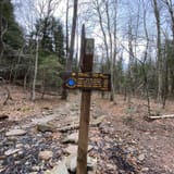 Indian Head Mountain Loop, New York - 1,296 Reviews, Map | AllTrails